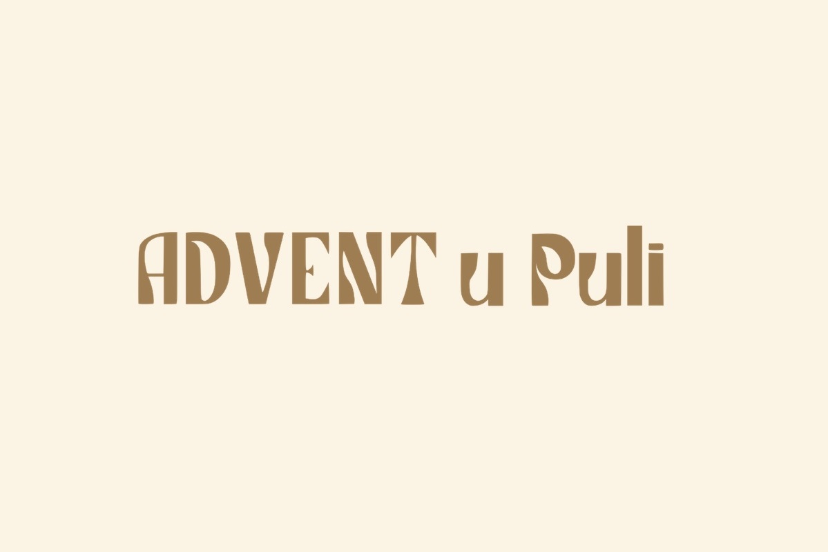 Dino Dvornik Tribute – Otkazano - Advent u Puli 2026